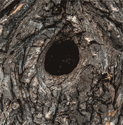 SMALL GIFS FOR TWITTER